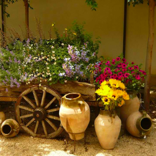 Theo's Garden Centre - Home